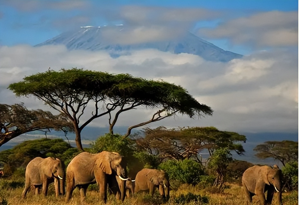 Kenya's geographical features, historical culture and characteristic ...