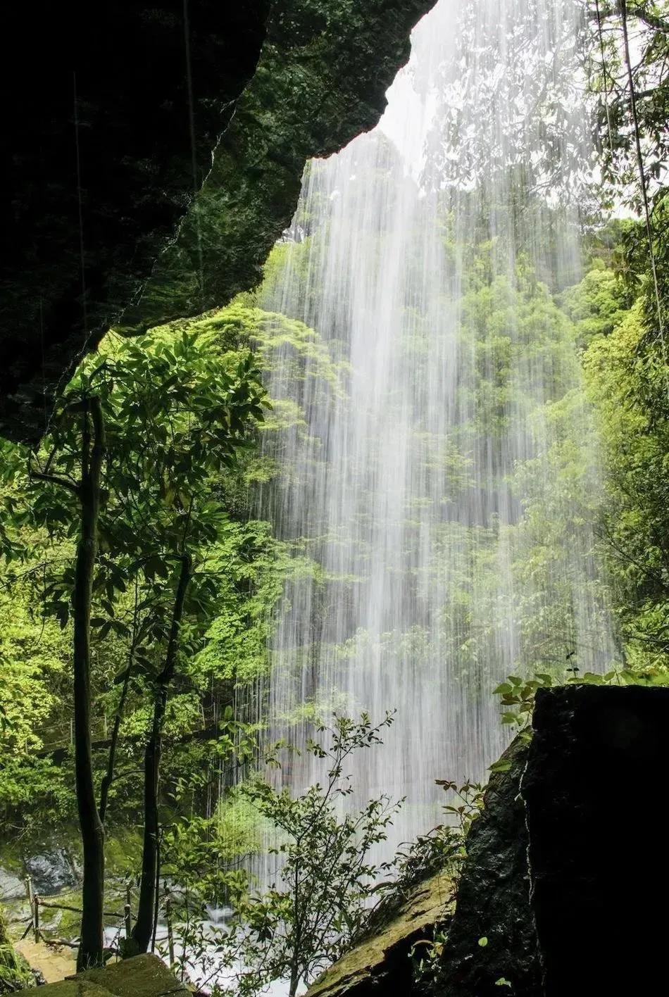 Cursive script: Li Bai's "Looking at Lushan Waterfall" - iNEWS