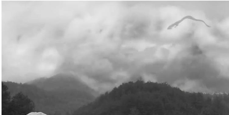 "Walking Jiao" has happened many times along the Yangtze River. Can ...