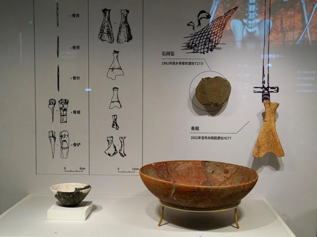 Demonstration of primitive agriculture in China 8000 years ago - iMedia