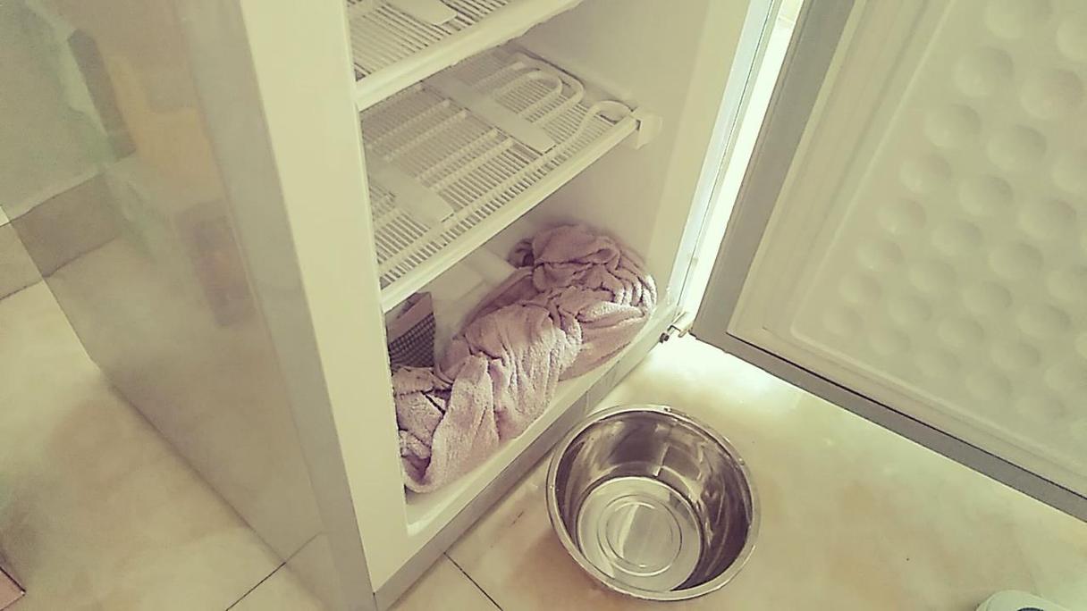 No matter how thick the frost in the refrigerator is, put a bowl of ...