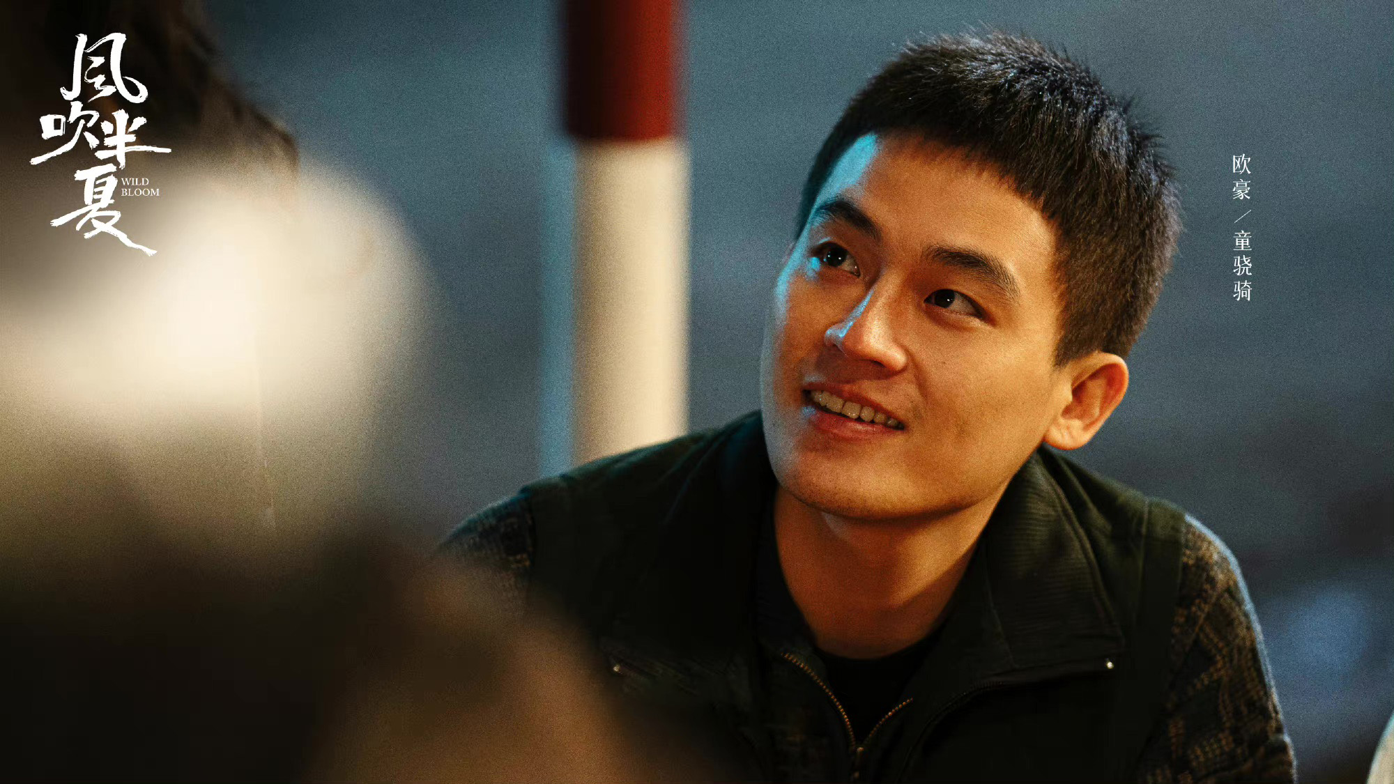 Watching people cry, what did "The Wind Blows Pinellia" do right - iNEWS