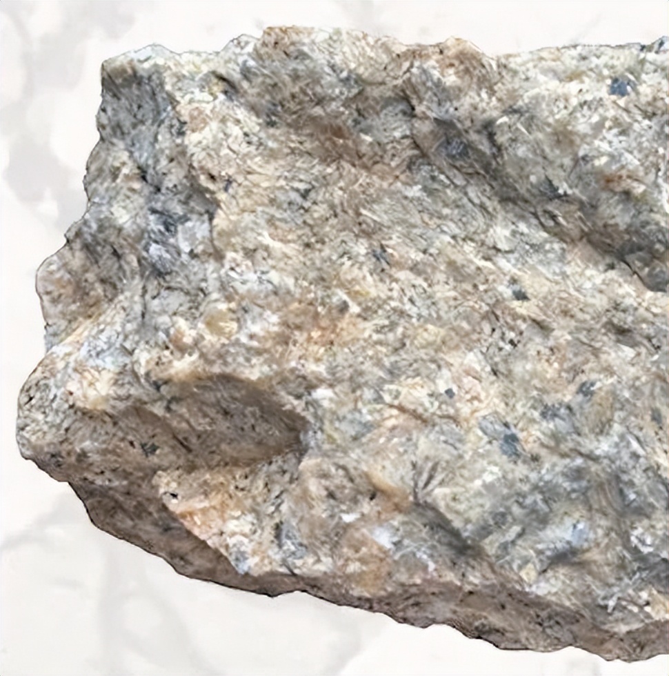 No two identical leaves, but two identical rocks? - iNEWS