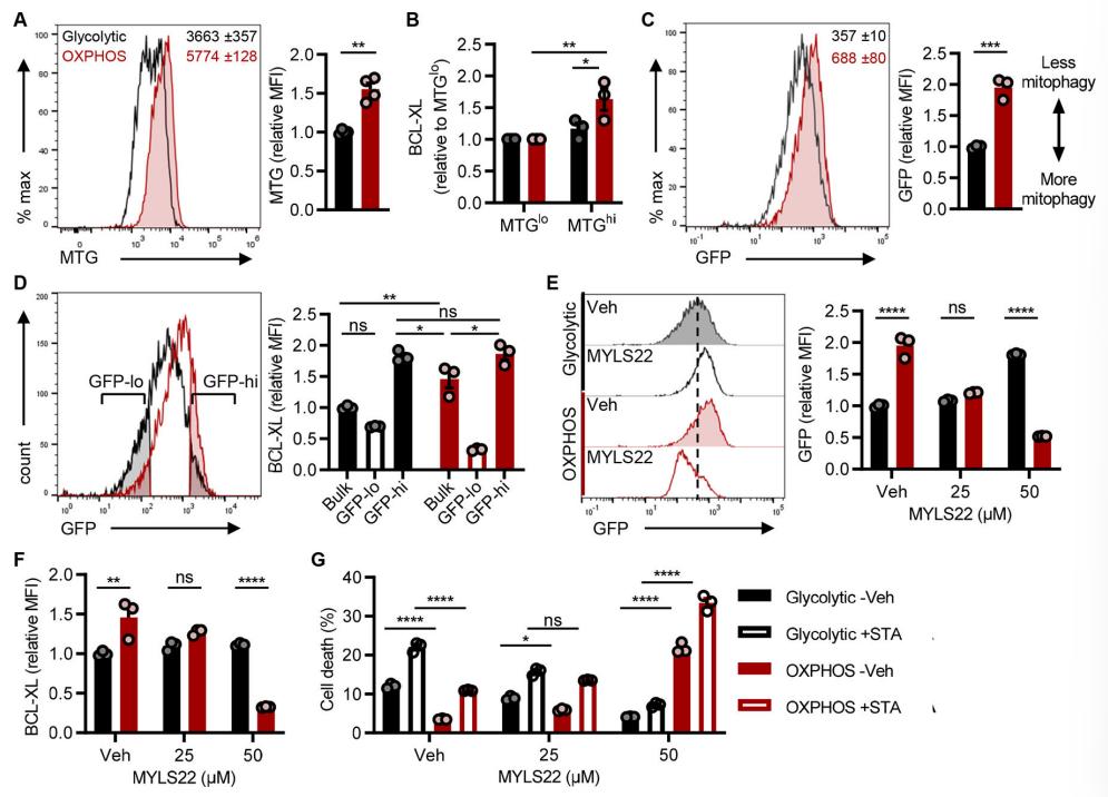 Promote the apoptosis resistance of T cells and improve the anti-cancer ...