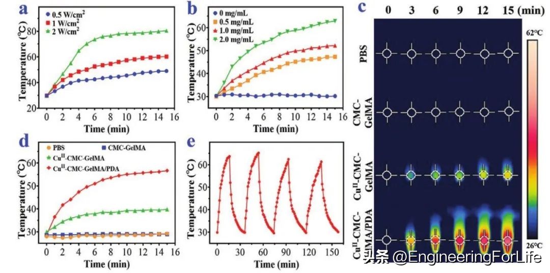 "Small": Dual antimicrobial microspheres promote healing of infected ...