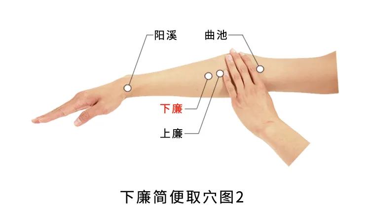Lower Lian Point of the Large Intestine Meridian, an Effective Point ...