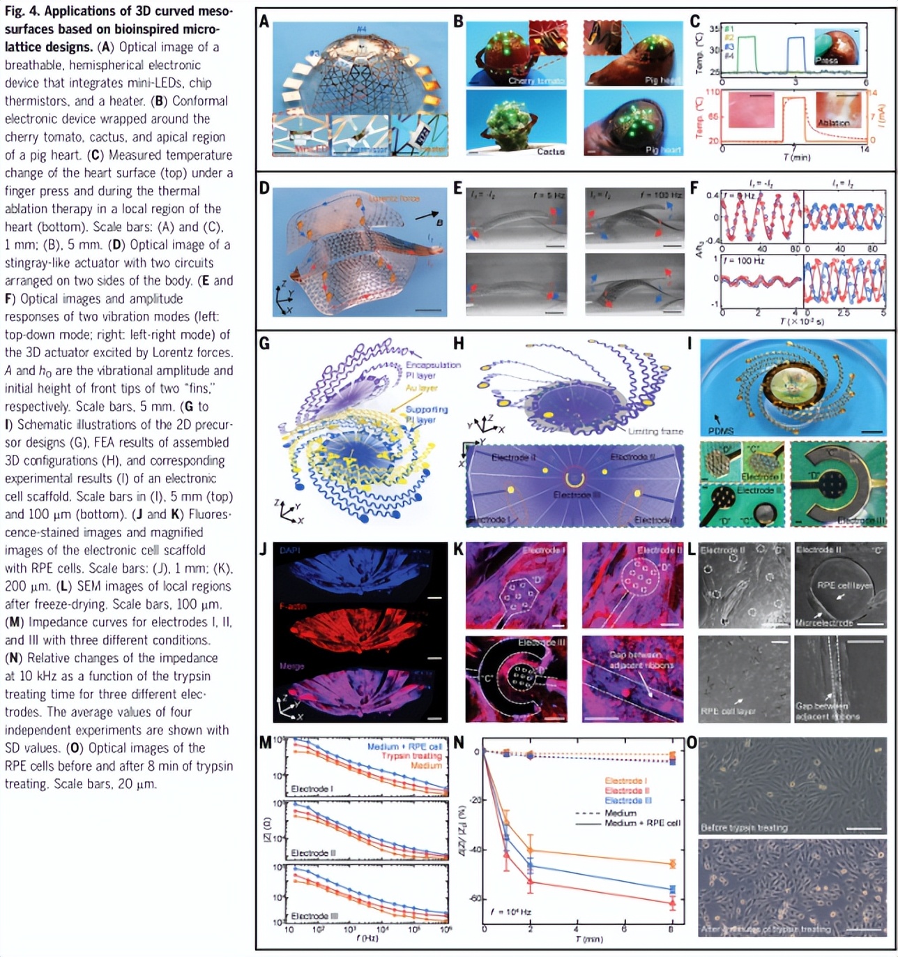 Programming 3D Curved Interface Using Micro Lattice Design - iMedia