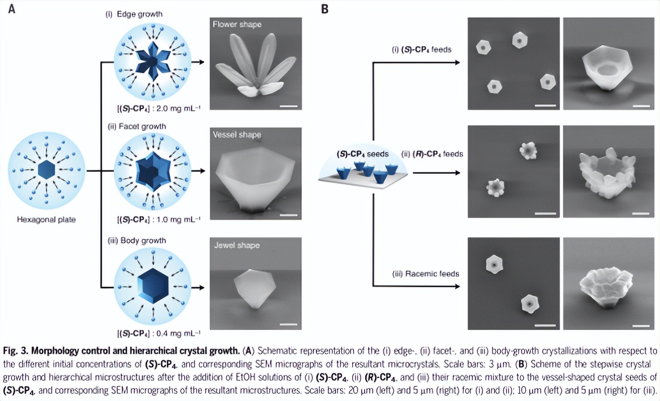 Synchronous Assembly of Chiral Framework Single Crystal Microtubules ...