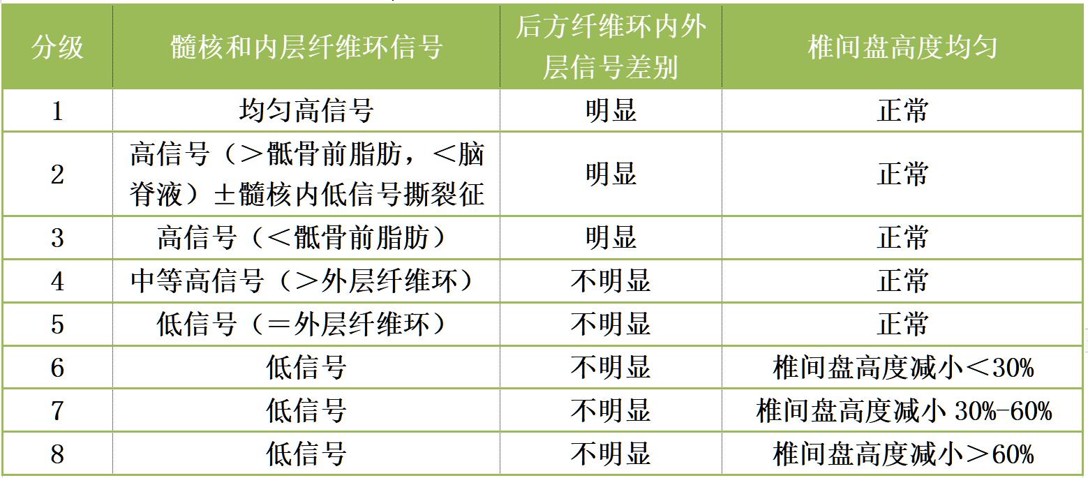 Degenerative grading of lumbar discs and facet joints - iNEWS