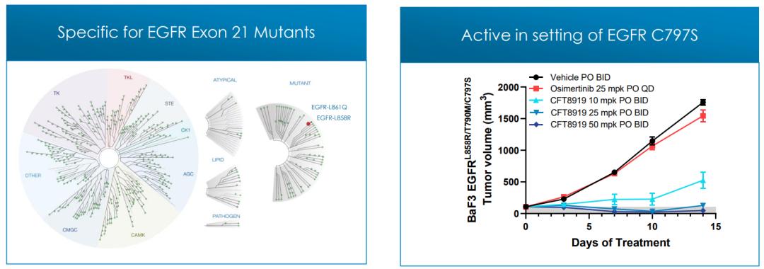 Beida introduced more than 400 million US dollars! C4T's oral BiDAC ...