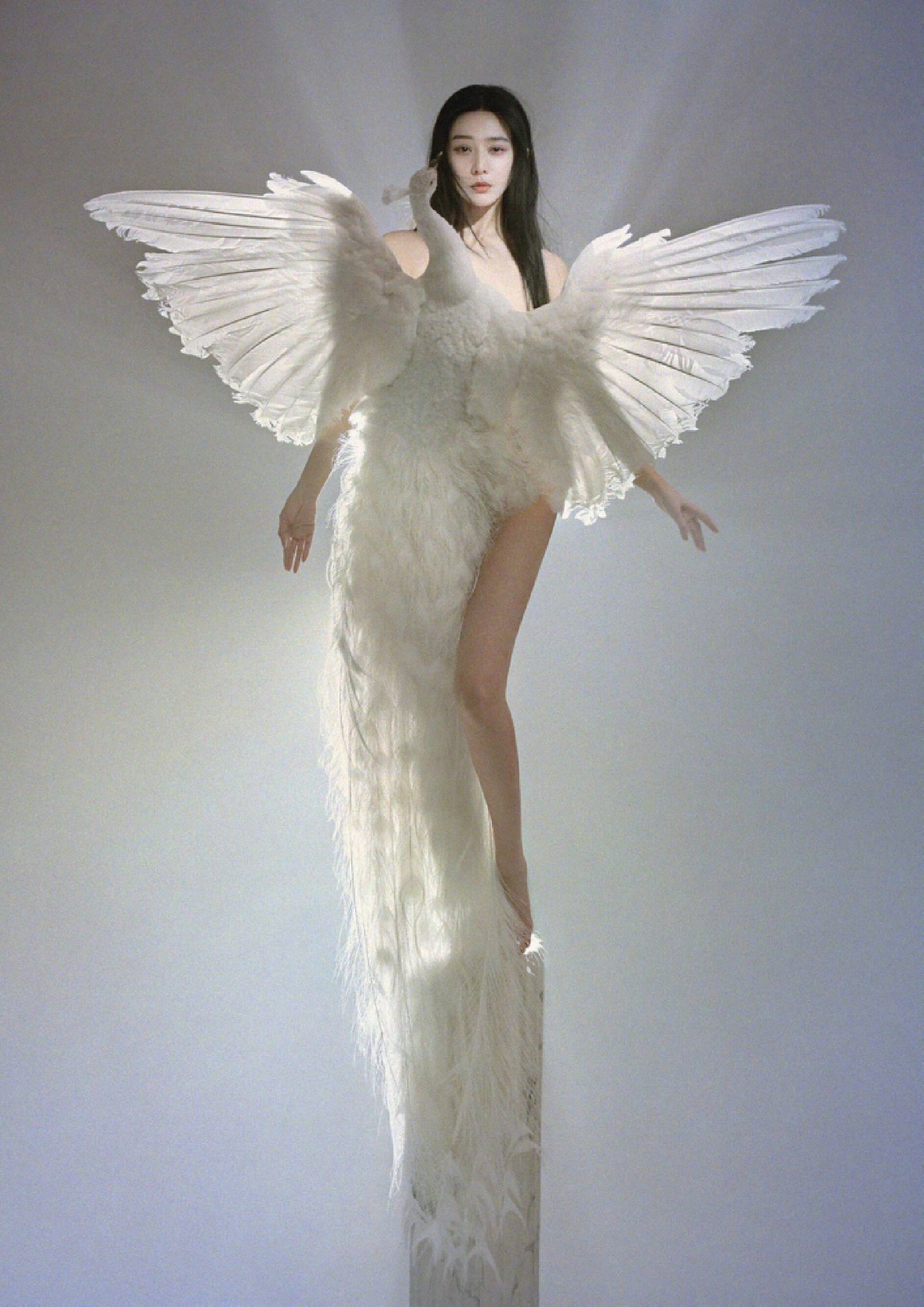 A battle for resources between Yang Ying and Fat Bing profoundly ...