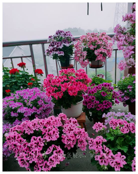 6 kinds of "flower machines", one pot blooms for half a year, and 2 ...