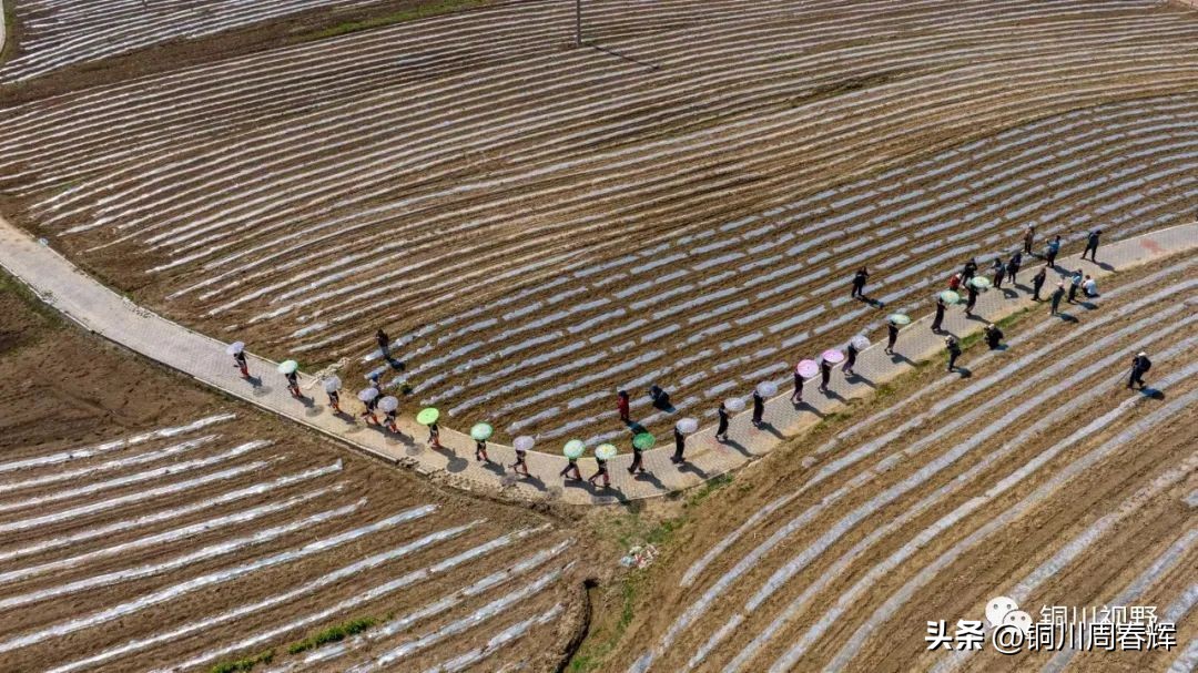 Tongchuan Yijun Terraced Fields"Photo by Zhang Baoguang, Tongchuan" - iNEWS