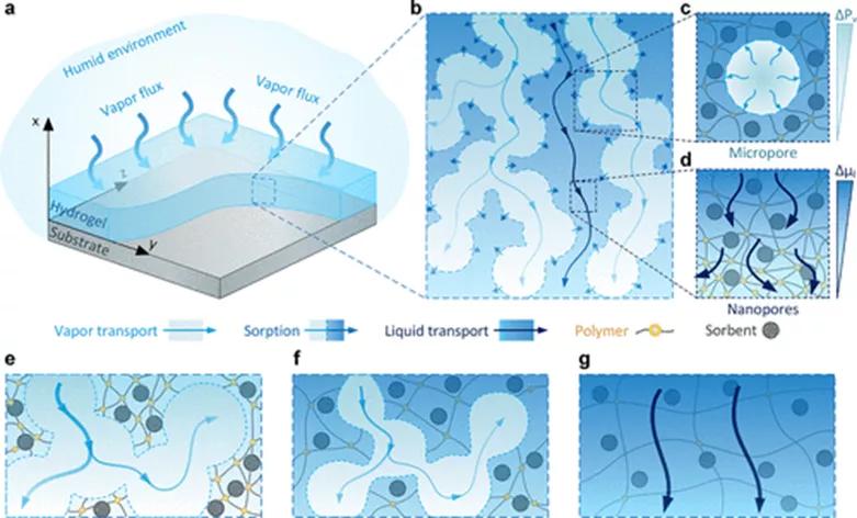 MIT Lenan Zhang and Evelyn Wang: Adsorption kinetics in hygroscopic ...