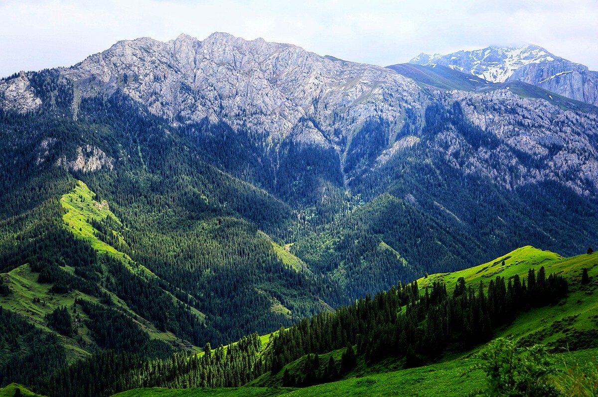 Research on Wusun and its relationship with the Western Han Dynasty ...