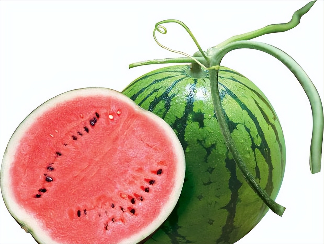 Gourmet tips: Whether watermelon is sweet or not, you can see here ...
