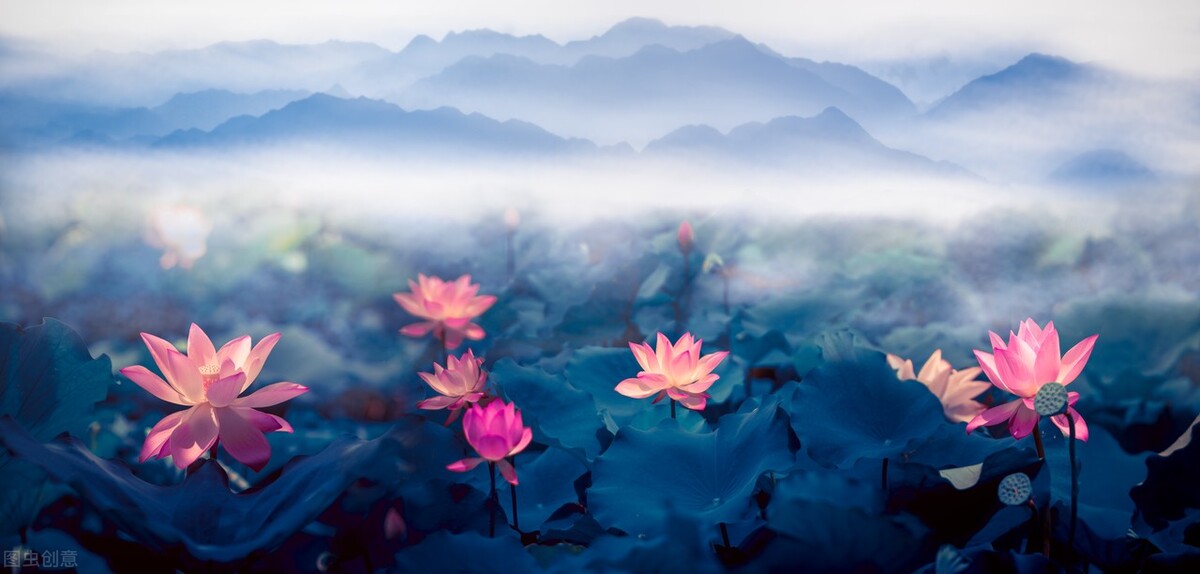 Flying flower order - lotus - iNEWS