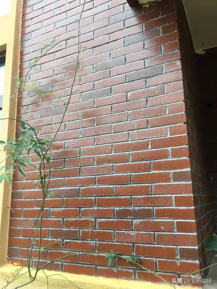 Exterior wall waterproofing: how to choose waterproof coating and ...