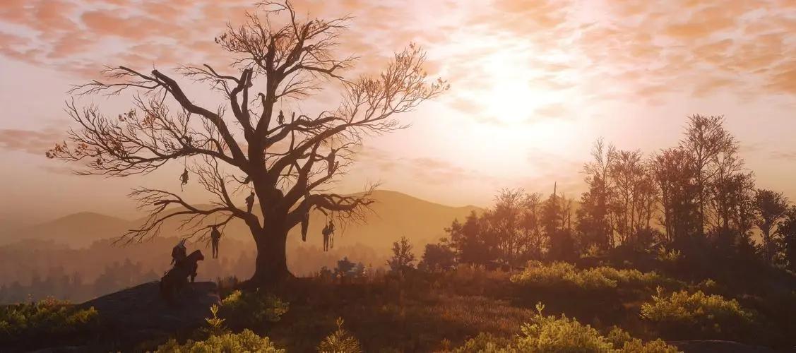 The Witcher III Tree Heart: Your Choice, the Choice of Conscience - iMedia