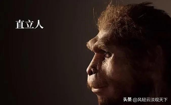 Several main views on the origin of human beings in the world at ...