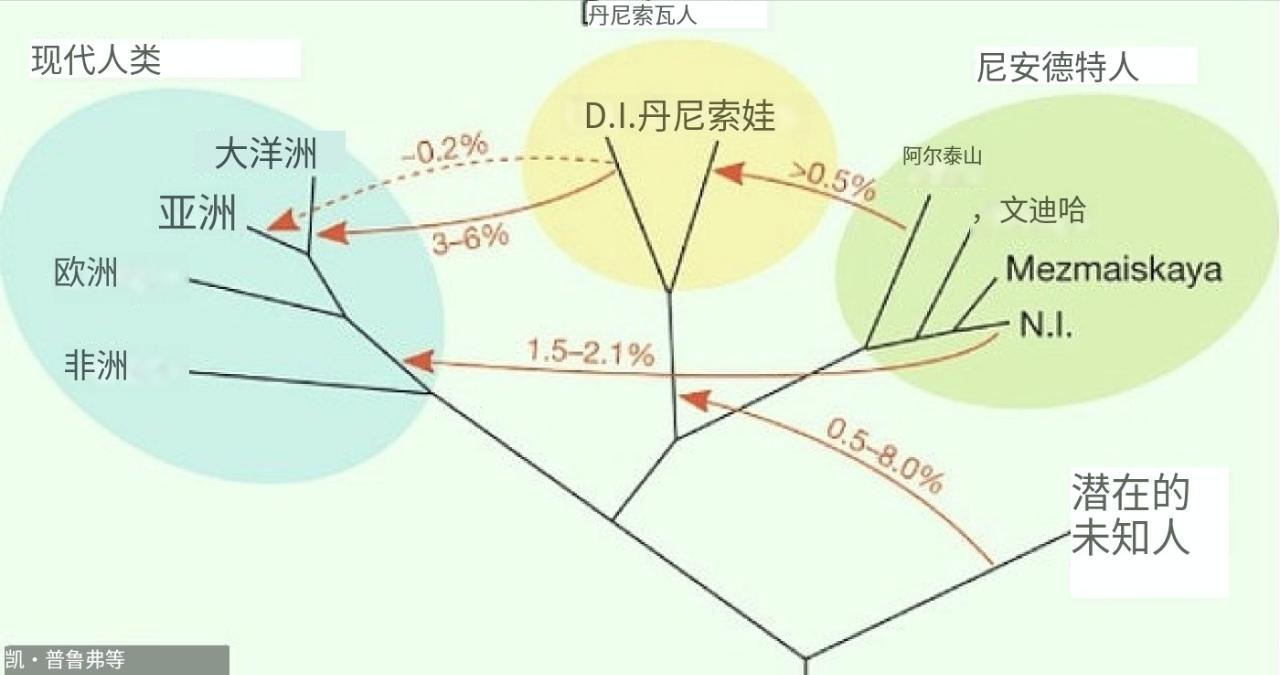 Scientists Discover New Human Species? Scientists discover 'new lineage ...