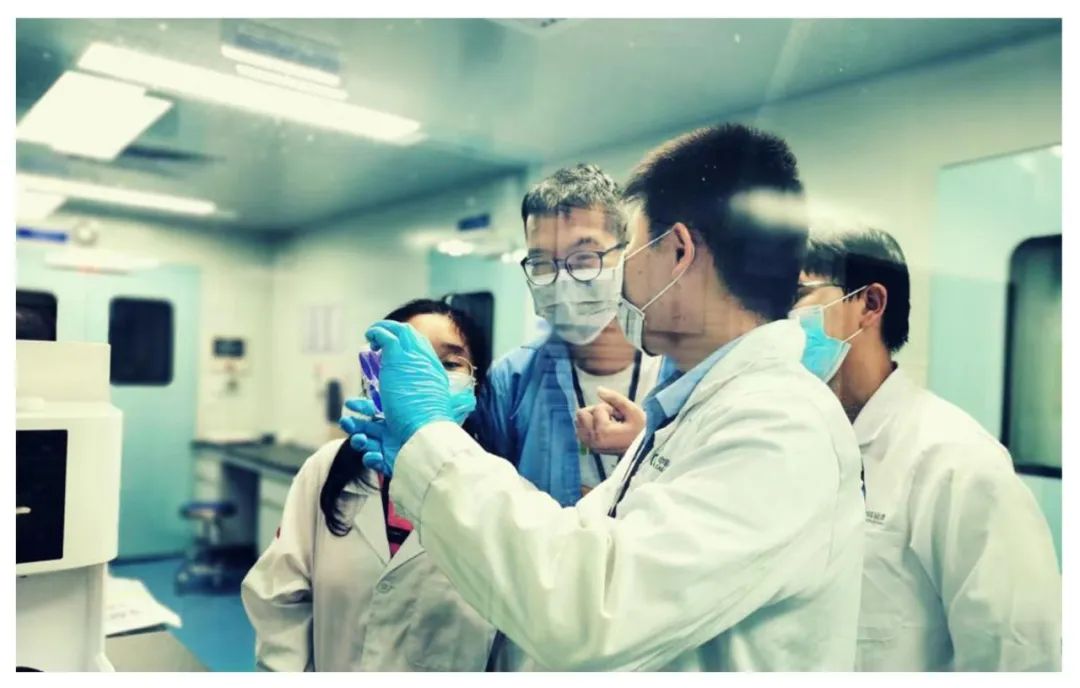 Plaque Assay: The Gold Standard for Quantifying Viruses - iNEWS