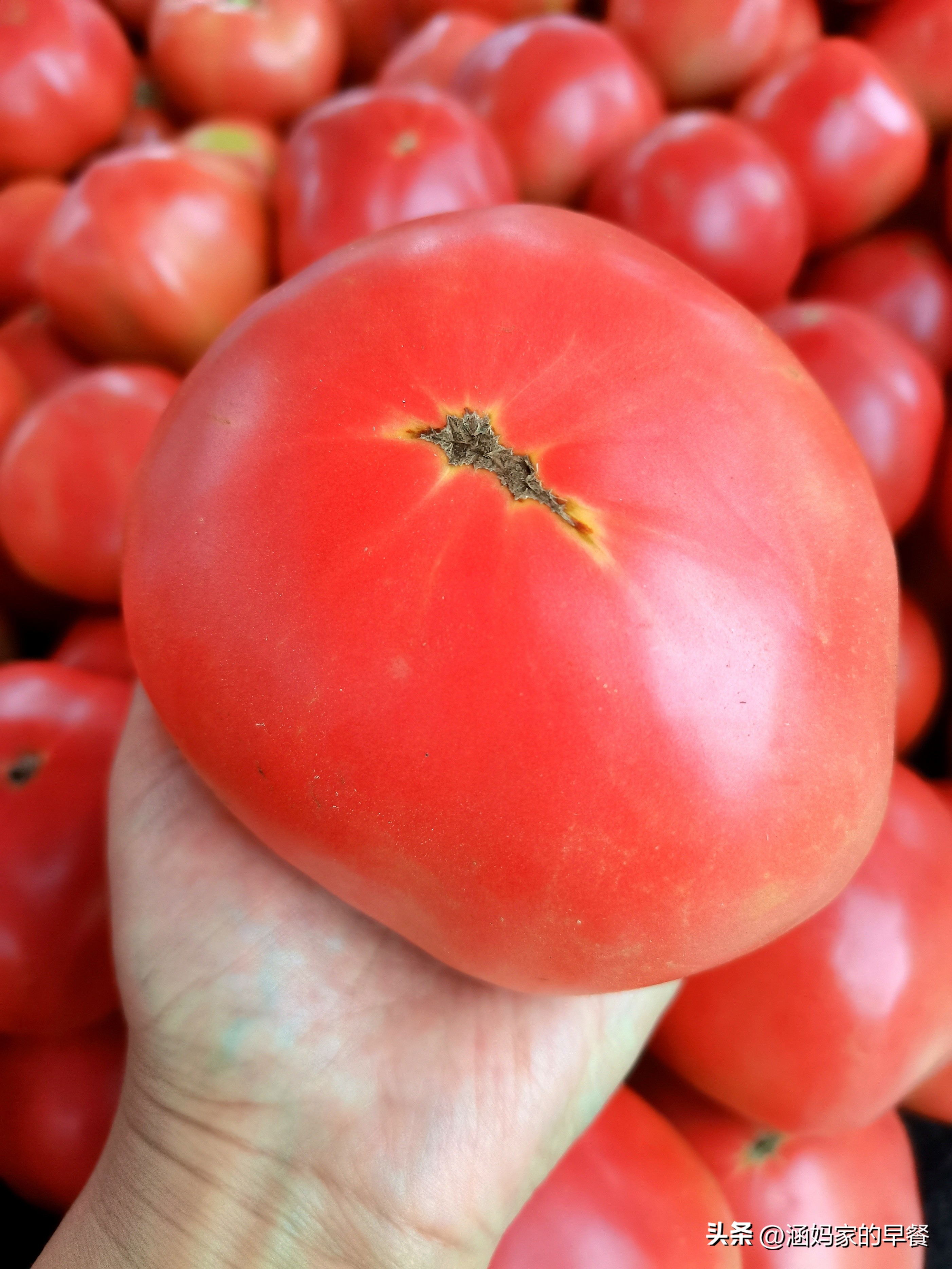 The method of tomato sauce that will not go bad after a year is clean ...