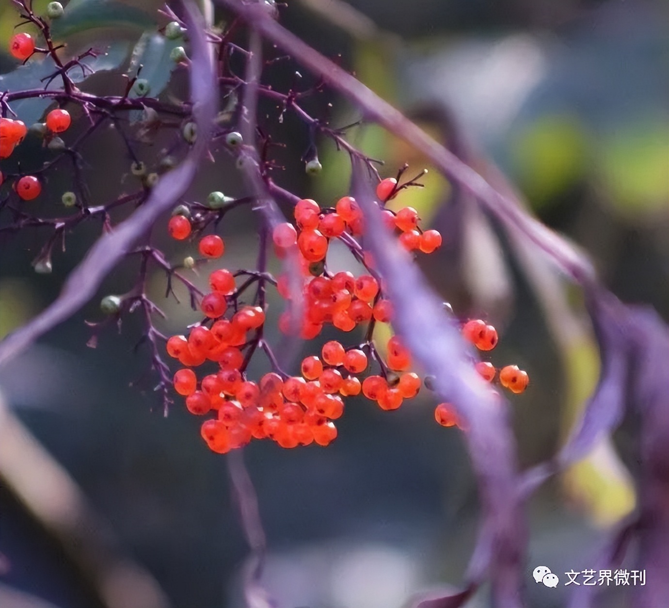 Overnight in Hongdou Village - iNEWS
