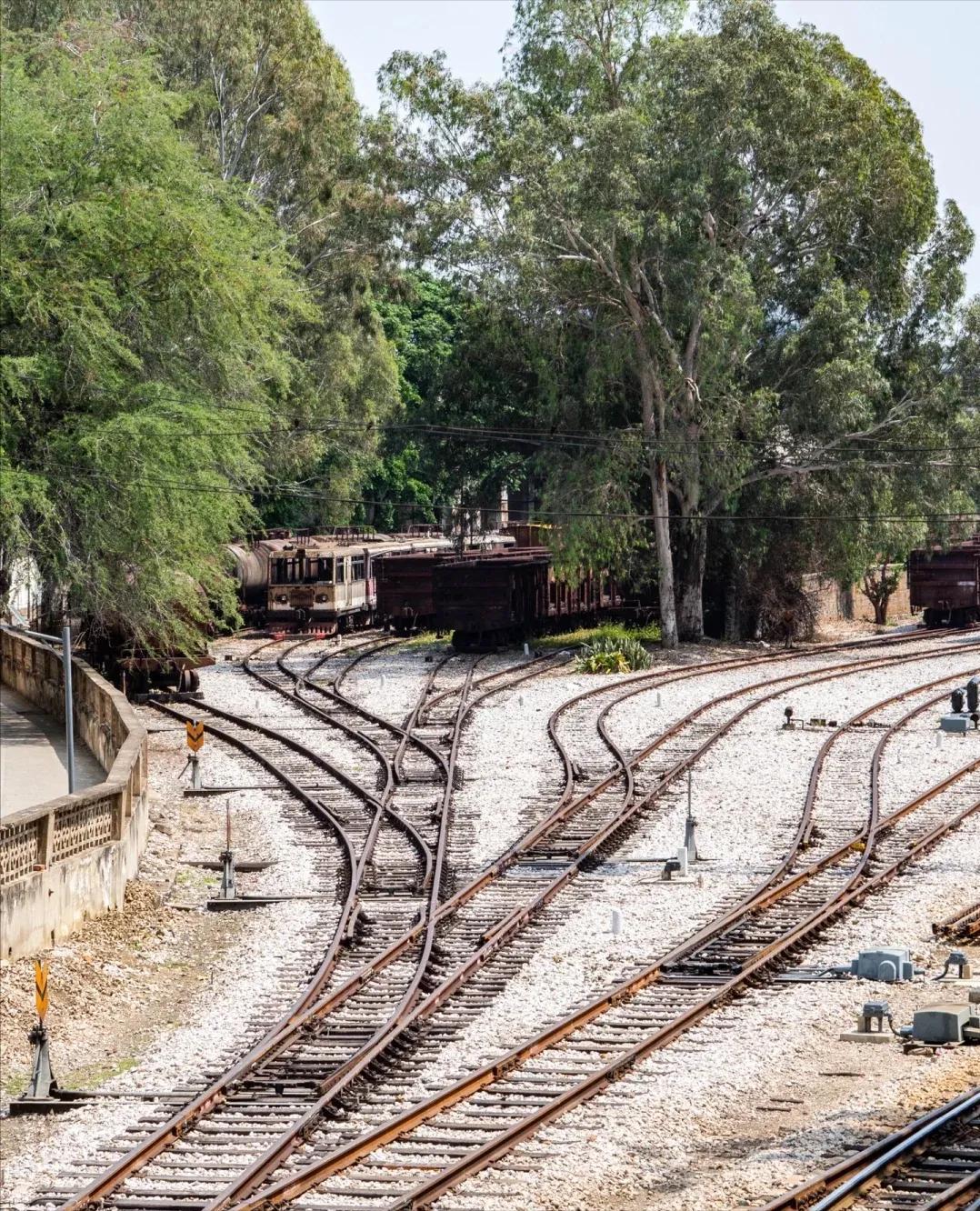 Experience the "world's slowest" century-old railway, take a slow train ...