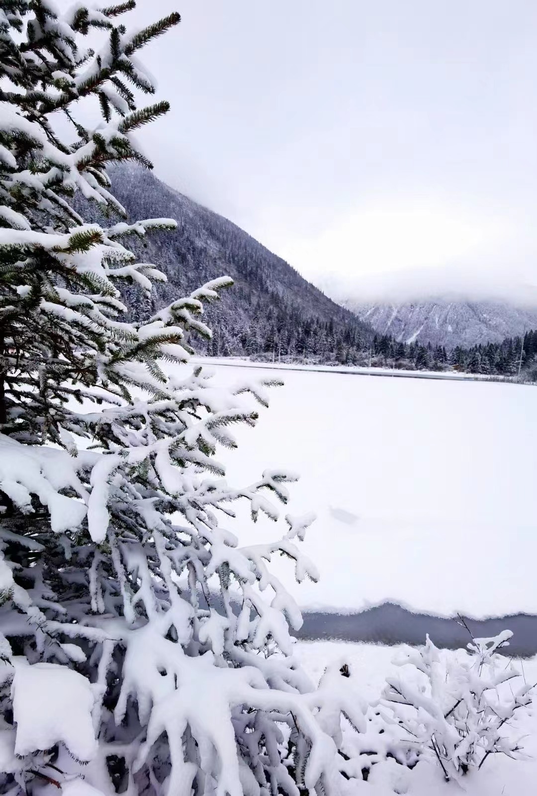 Spring and winter are intertwined, two seasons at a time in Dagu ...