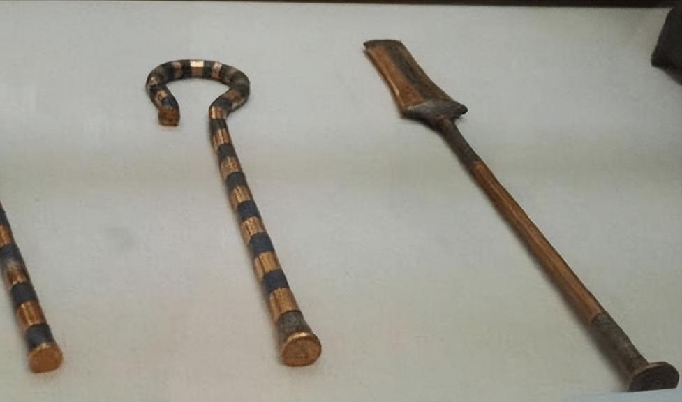 How did the cane tradition evolve and develop in the Alpine Kingdom ...