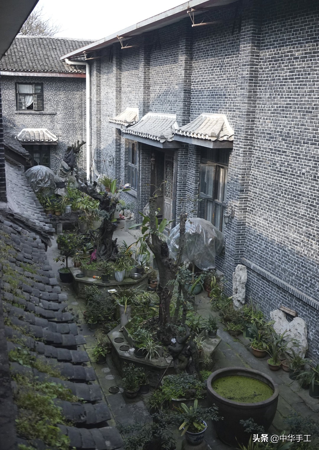 The Garden of Eden of the eagles is full of rare, strange, ancient and ...