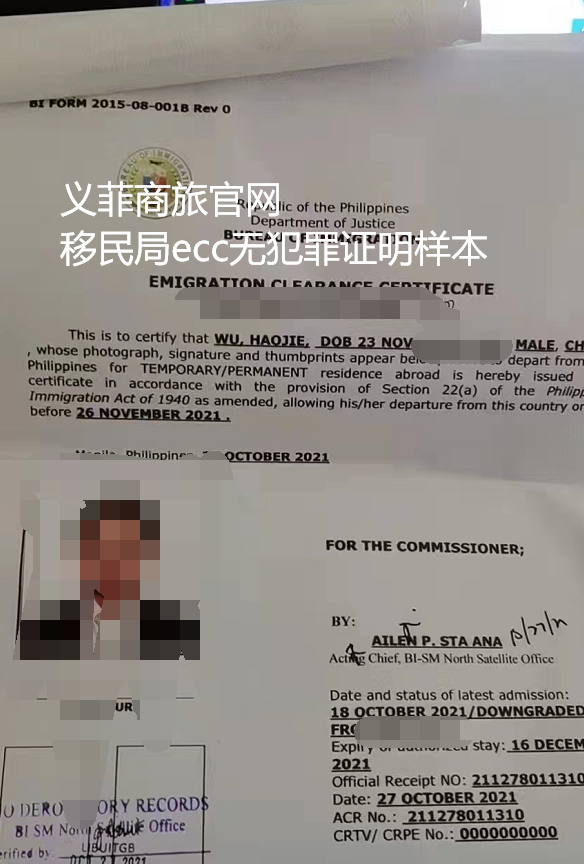 What materials are required for ecc customs clearance in the ...