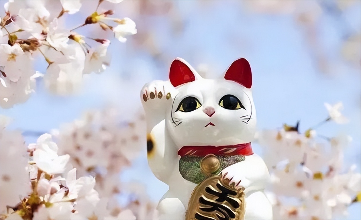 Cat Island, Japan, 20 cats per capita!How did Japan's crazy cat culture ...