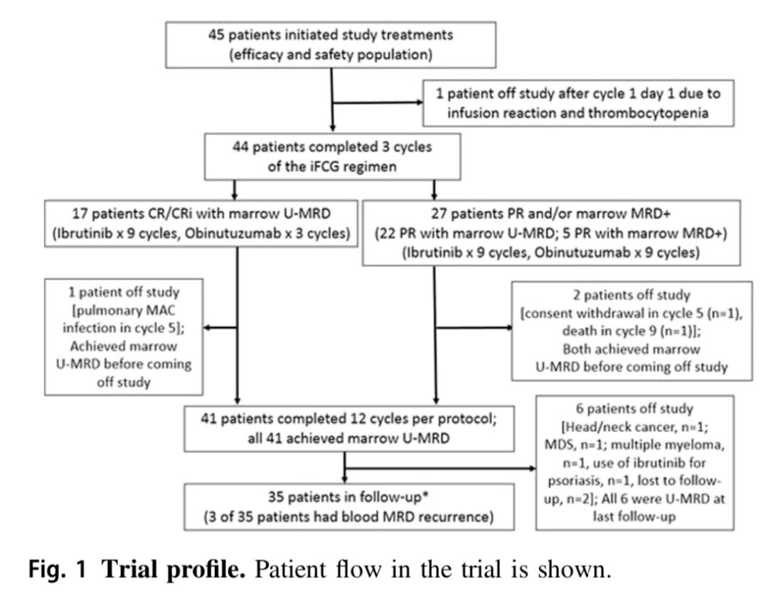 iFCG regimen is used for first-line treatment evaluation in patients ...