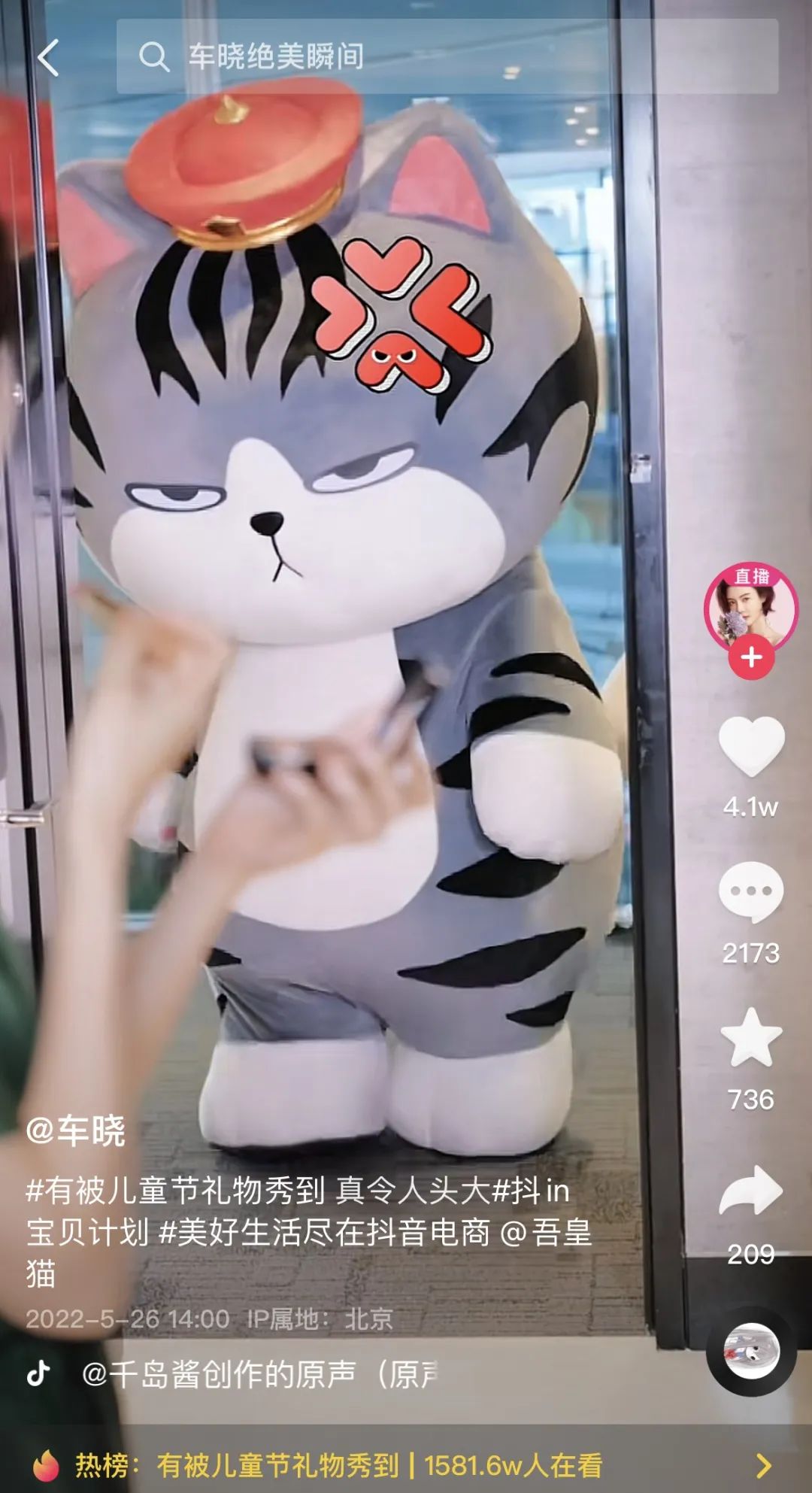 Growing up on time, the original Chinese cartoon image "My Emperor Cat ...