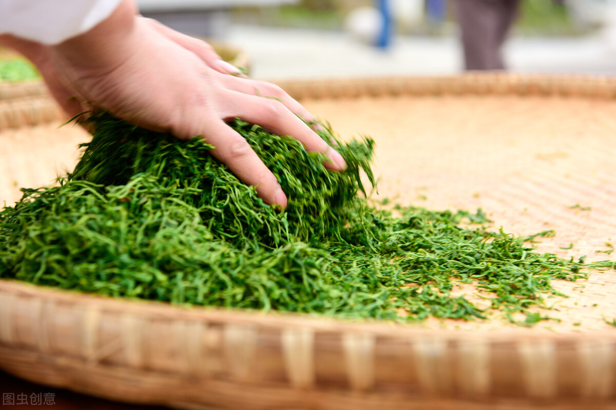 How the British stole the tea from China - iNEWS