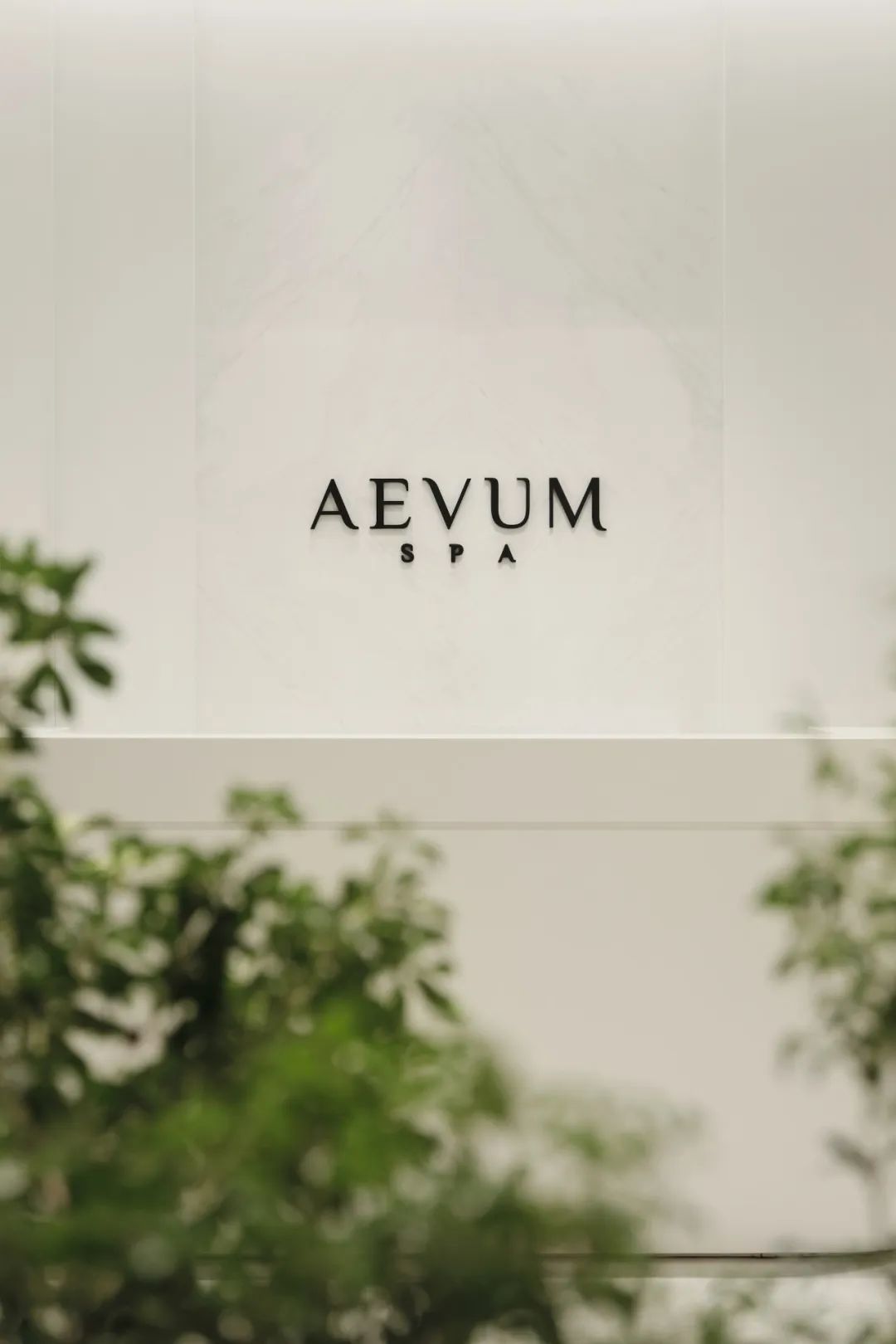 MOSOM Design: AEVUM Vientiane Gourmet Store - iNEWS