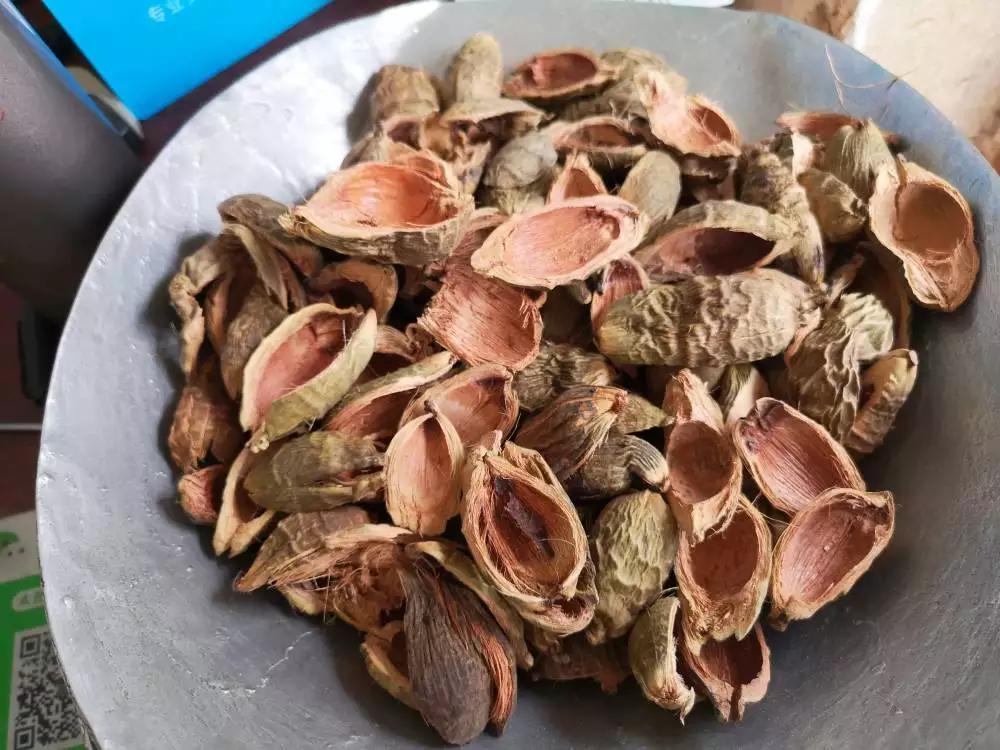 Betel Nuts! Addiction is just an appearance, the hobby of 60 million ...