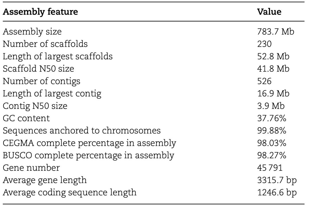Detailed success stories! Research on genome evolution and fruit ...