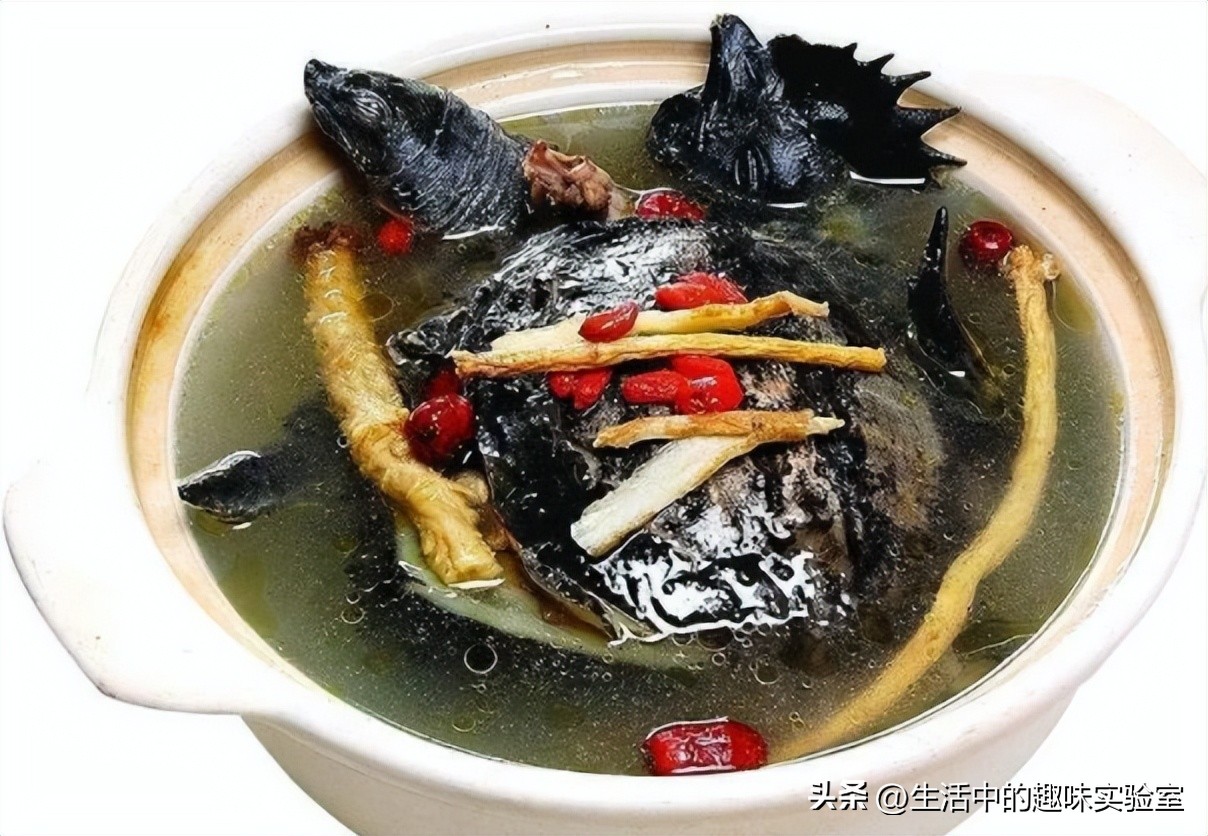 The 5 cruelest dishes, some have been banned, the last two are too much ...