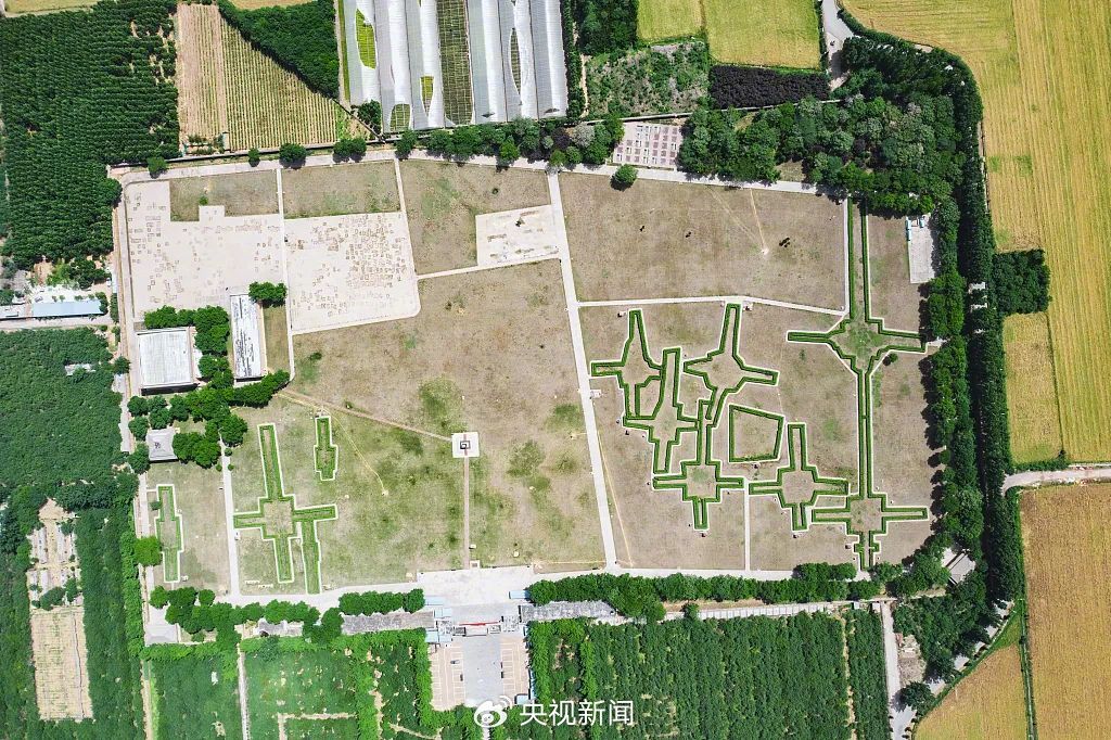 10 knowledge points about the Yin and Shang Dynasties, must-see movies ...