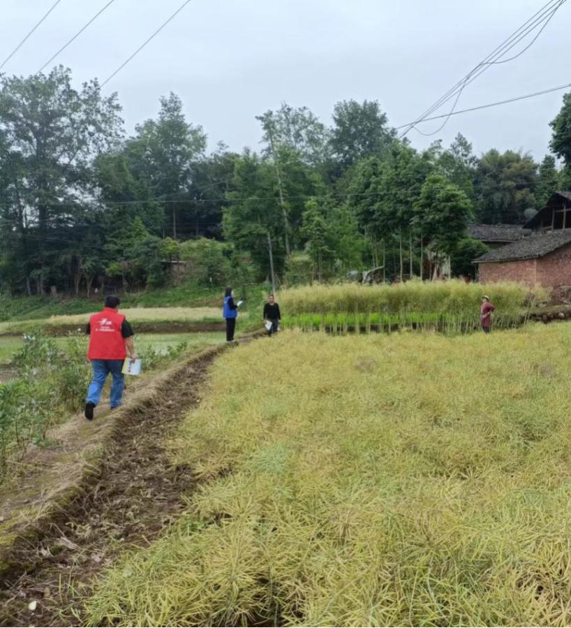 "Blue Gege" is dispatched to prevent the "burning" - iNEWS