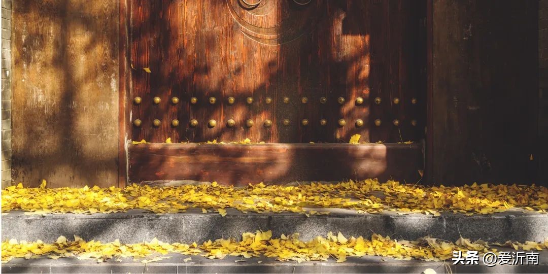 5 beautiful little poems, extremely gentle, unforgettable after reading ...