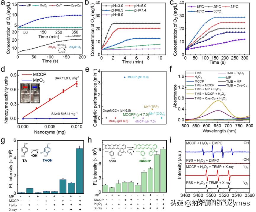 Coordination-driven self-assembly of Cu single-atom nanozymes - iNEWS