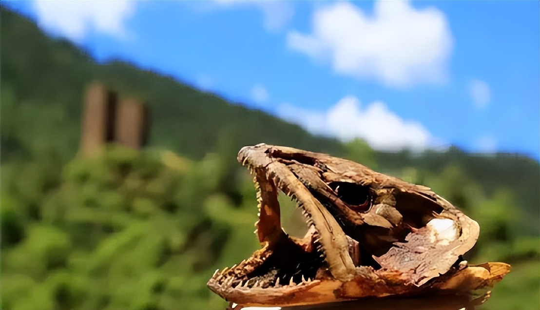 A ten-year ban on fishing is hard to become a talisman! Ferocious fish ...