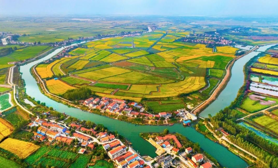 An early historical picture from the origin of rice farming to the ...