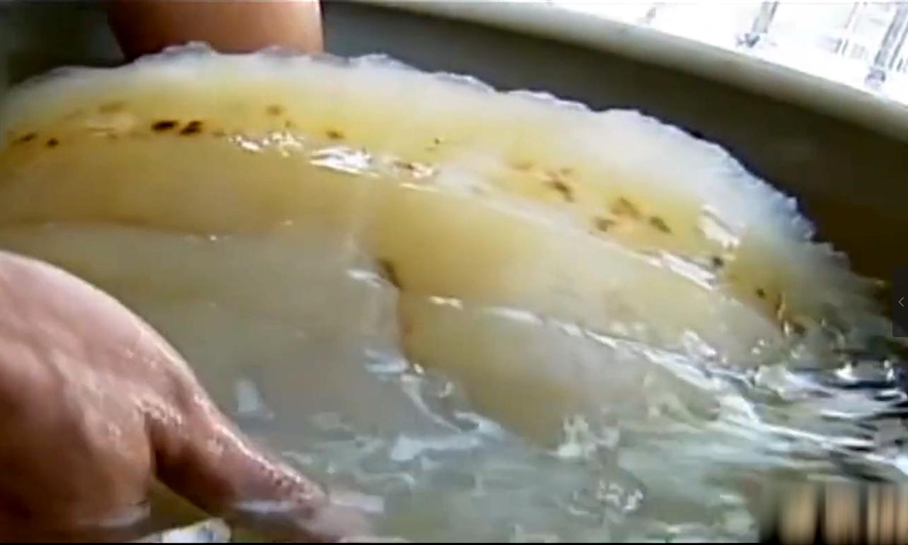 Ningxia man accidentally picked up Tai Sui at a high price. His family ...