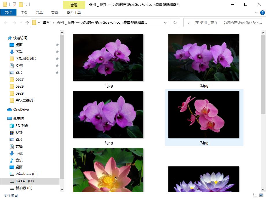 Software to download pictures by entering URL - iNEWS