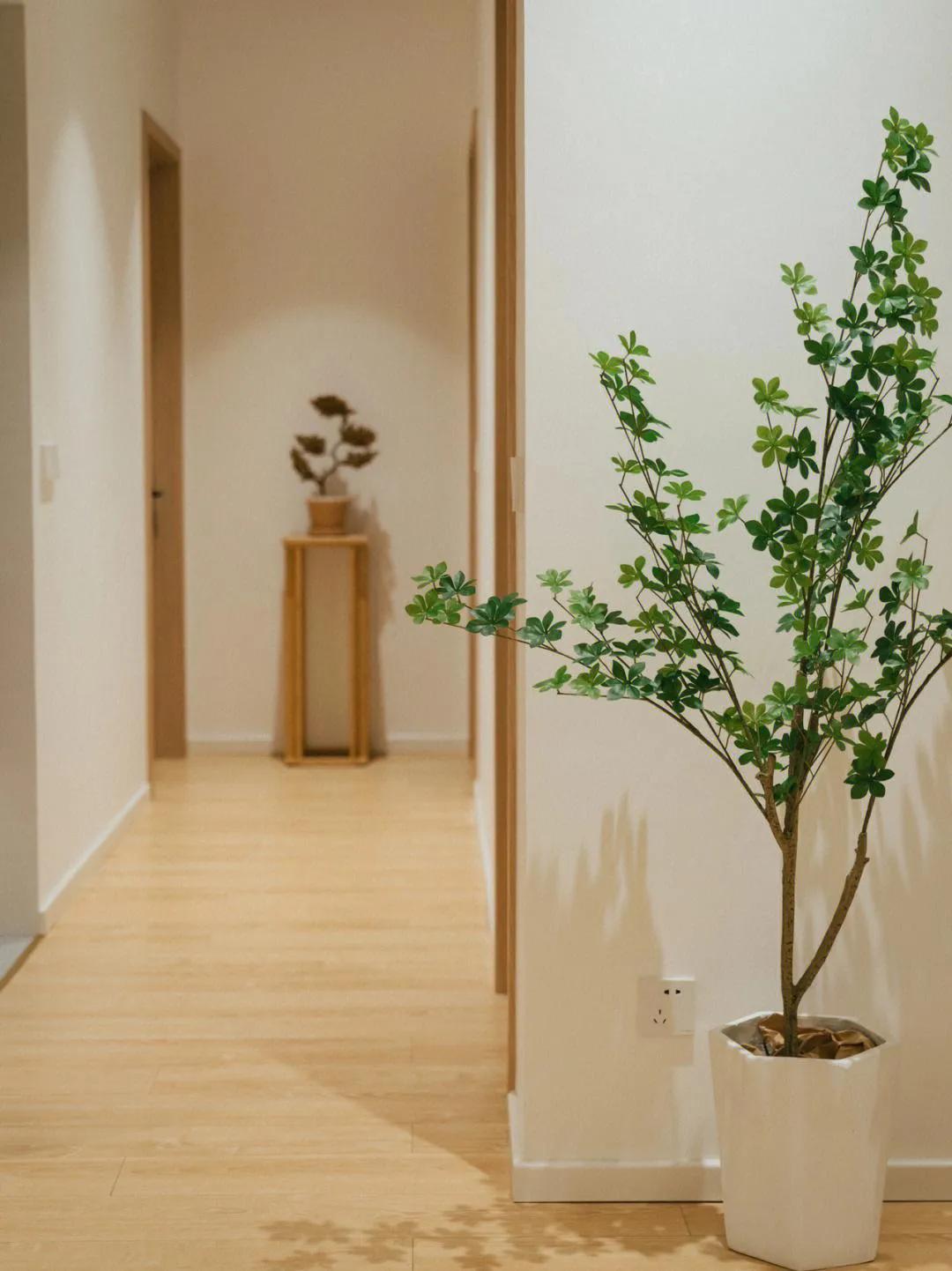 Japanese log style - iNEWS